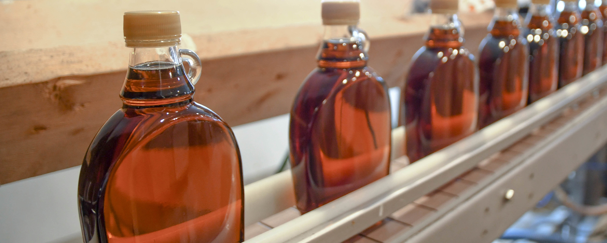 Learn More About Maple - Shop Authentic, Organic Maple Syrup